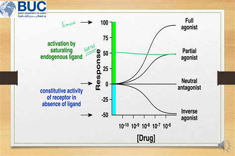 Dose Response Curve Pharmacology Notes Pdf Dose Response Curve Pharmacology Notes Pdf