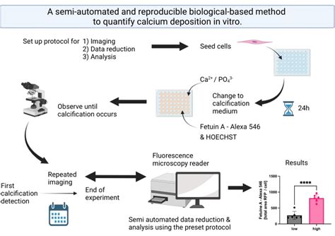 A Semi Automated Reproducible Biological Based Method To Quantify