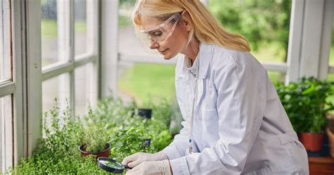돋보기를 통해 식물을 면밀히 조사하는 집중된 성숙한 백인 여성 생물학자의 측면 모습 사진 Unsplash의 백리향 이미지