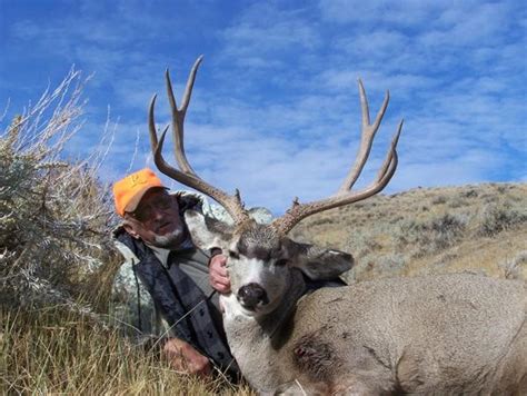 Worlds Biggest Mule Deer