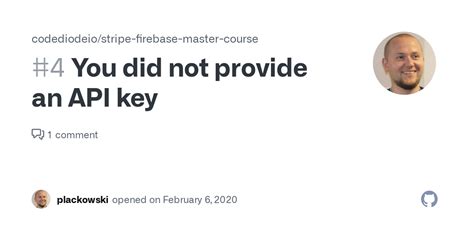 You Did Not Provide An API Key Issue 4 Codediodeio Stripe Firebase