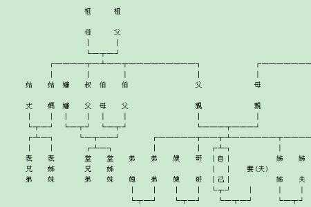 舅奶奶家的儿子叫什么