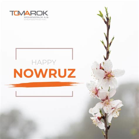 Tomarok Engineering On Linkedin Tomarok Nowruz Nowruz Diversityandinclusion