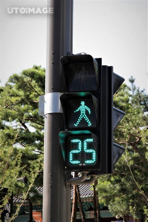 보행자 신호등의 잔여시간표시기 Yanggiri 사진 보행 보행자 신호 신호등 잔여 표시 잔여표시기 단속 규제