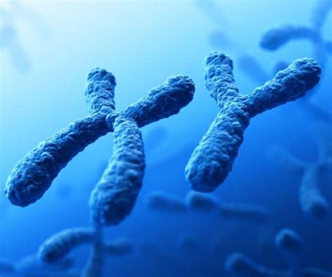 G6pd Deficiency Explained The Hidden Condition Affecting Millions