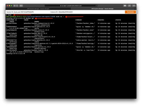 How To Access EC2 Instances With AWS Systems Manager SSM Session