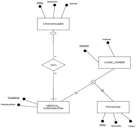 Solved Consider The Given Presentation Layer Er Model Diagram Chens