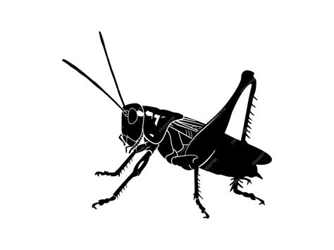 Grasshopper Silhouette Vector Grasshopper Insect Grasshopper Bug Monogram Premium Ai Generated