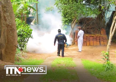 ඩෙංගු මර්දන සහයකයින් 671ක් ස්ථීර සේවයට Itn News