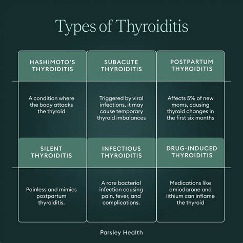 Thyroiditis 101 A Patients Guide To Causes Symptoms Treatments