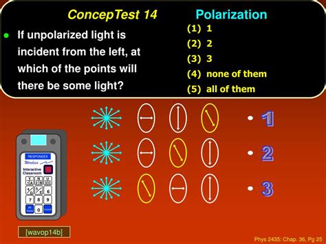Ppt Chapter 36 Diffraction And Polarization Powerpoint Presentation