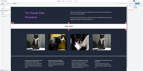 How To Create Custom Content Bricks