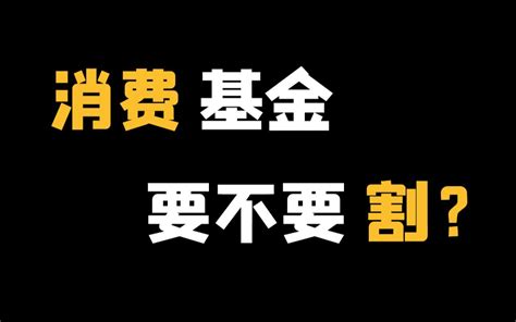 【深度专访】知名基金经理一期视频彻底讲透消费行业的核心投资逻辑！（投资必看，建议收藏） 研究员雷牛牛 研究员雷牛牛 哔哩哔哩视频