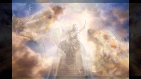 شهرام ناظری شیدا شدم Youtube