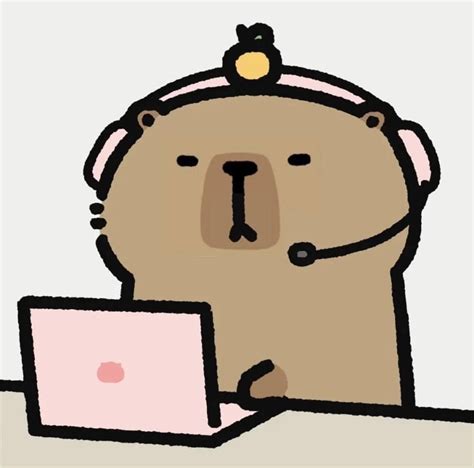 21 Capybara ý Tưởng Gấu Con Chuột Lang Nước ý Tưởng Nhật Ký