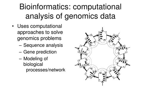 Ppt Introduction To Genomics Powerpoint Presentation Free Download Id343926