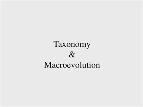 Ppt Taxonomy And Macroevolution Powerpoint Presentation Free Download Id 1145108