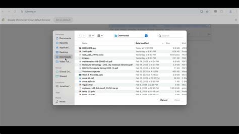 Tree Ring Video B Opening The File In Imagej Yt Youtube