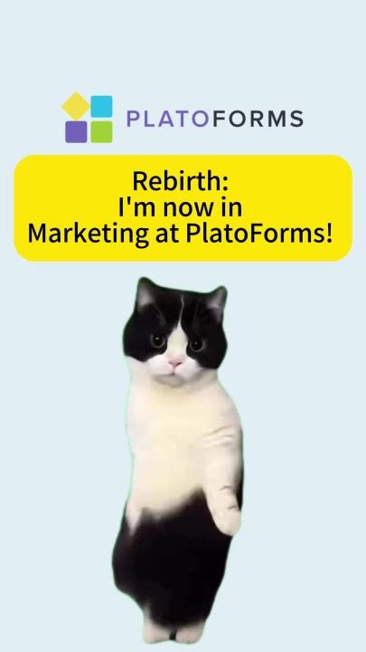 Video Formcan App On Linkedin Cat Meme Gen Z Newbies In Marketing