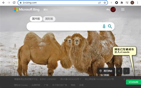 网页外部注入vconsole调试 Lulianqi15 博客园