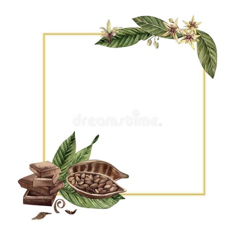 A Square Frame With Cocoa Beans Chocolate Leaves And Flowers Of Cocoa Wood The Watercolor