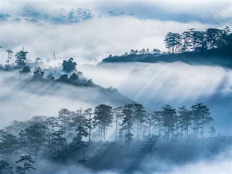 桌布 樹，山，村，霧，早晨 1920x1200 高清桌布 圖片 照片
