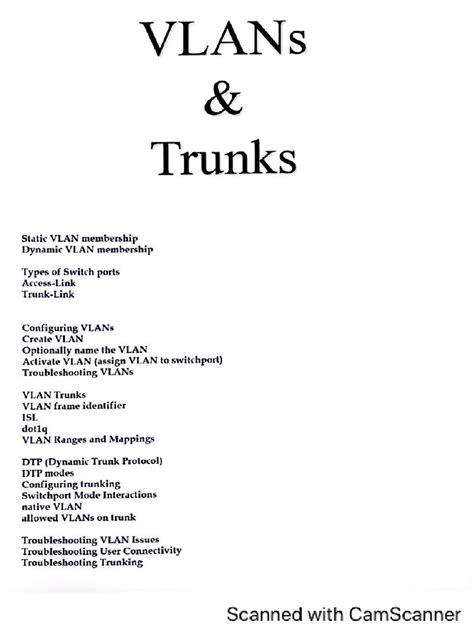 vlanandtrunk pdf