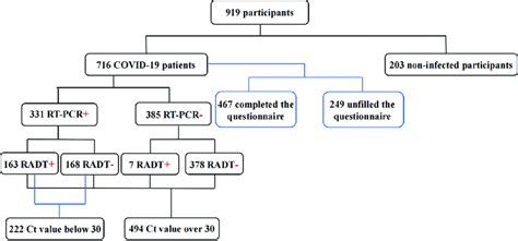 Workflow Chart Of The Data Processing 1 Positive 2 Negative Download Scientific Diagram