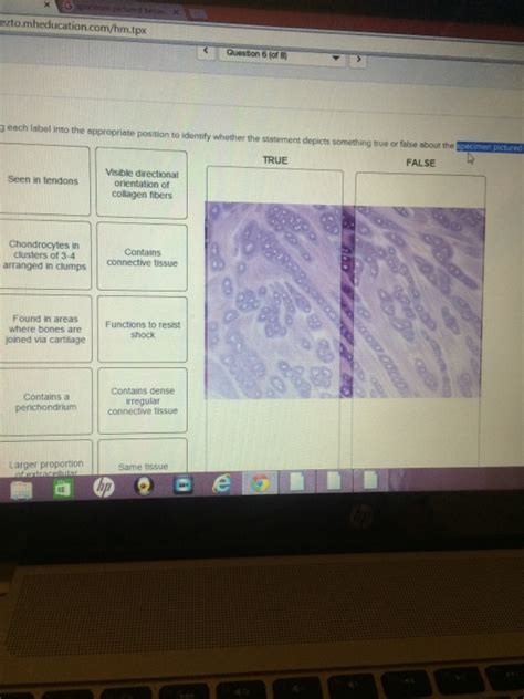 Solved Drag Each Label Into The Appropriate Position To