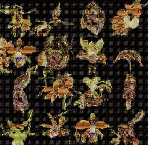 Sofia Crespo 인쇄물