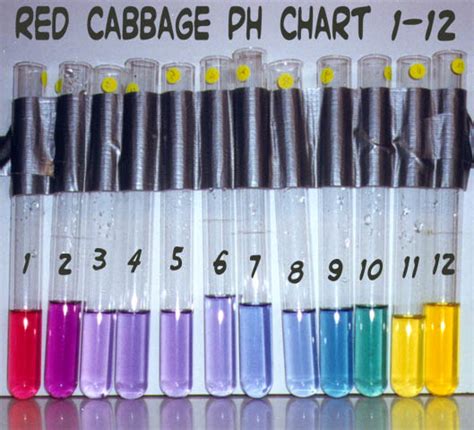 Natural Ph Indicators