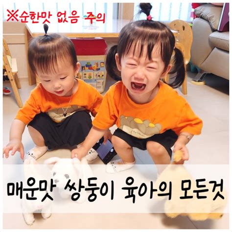 딸 이란성 쌍둥이 육아 꿀팁 장 단점 이 맛에 쌍둥이 키우지 네이버 블로그
