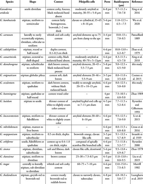 Morphological Comparison Of Ganoderma Dianzhongense Sp Nov And G