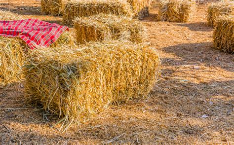 Jerami Bale Di Tanah Foto Stok Unduh Gambar Sekarang 2015 Bal Jerami Daratan Istock