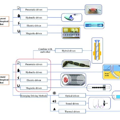 Examples Of Multi Segment Earthworm Inspired Soft Robots Using Emerging