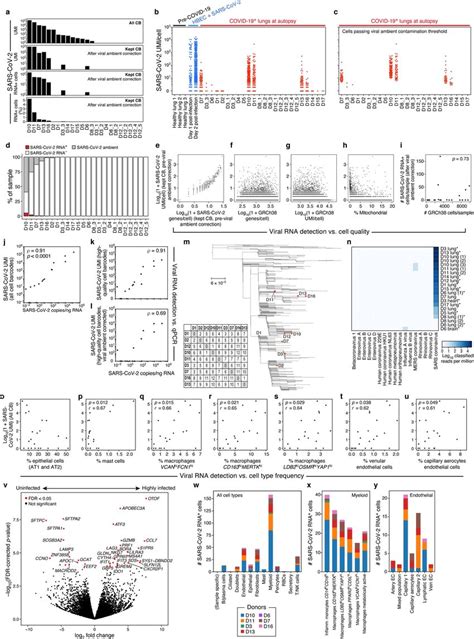 sars cov 2 rna⁺ cells distinguished by sc snrna seq a detection of
