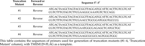 Primer Sequences For Truncation Mutants Download Table