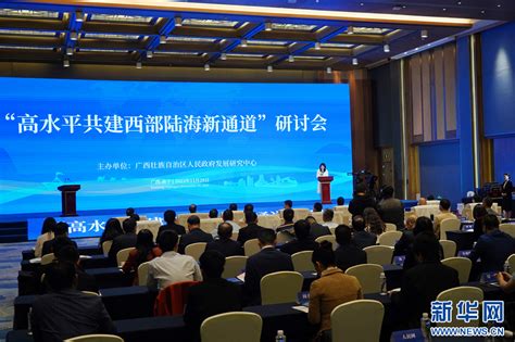 “高水平共建西部陆海新通道”研讨会在南宁举行 新华网