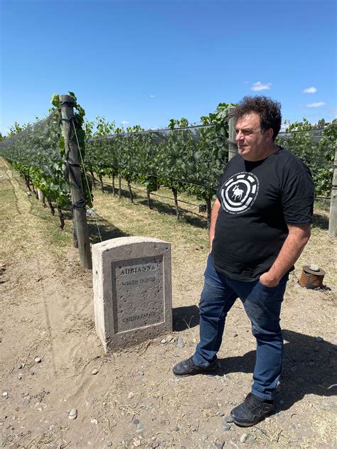 Vinos A La Carta Tres Chardonnay De Lujo El Varietal Blanco Que Desafía A Los Mejores Tintos