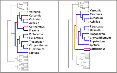 Representation Of Treejuxtaposer´s Environment For Taxonomy Comparison