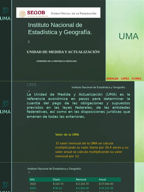 Uma Unidad De Medida Y Actualización 2023 Norita Pdf México Gobierno