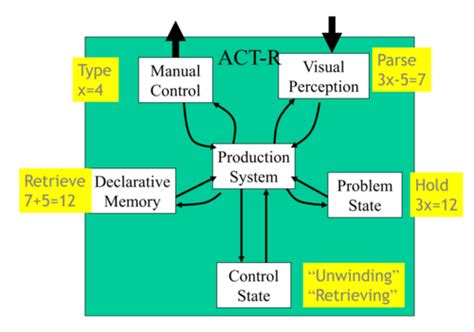 Exam 2 Quizlet 23 Act R As A Cognitive Model Flashcards Quizlet