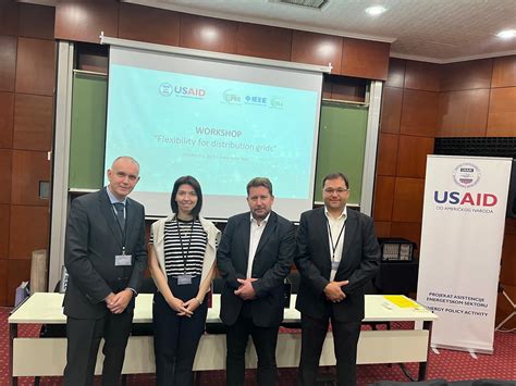 Flexibility In Distribution Grids Workshop