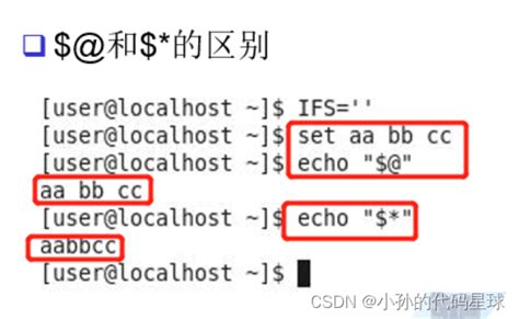 linux期末复习总结 linux期末知识点整理 csdn博客