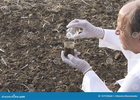 Two Types Of Soil With Different Colors And Structures Royalty Free Stock Photo CartoonDealer