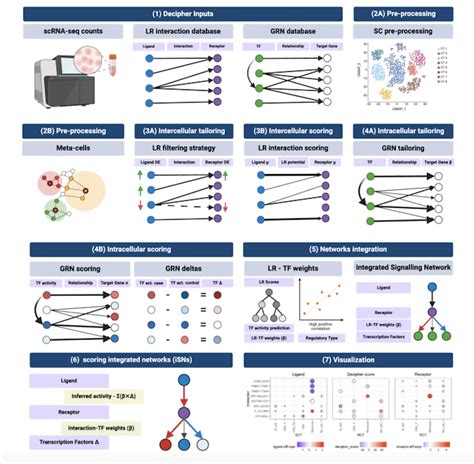 deciphering the future with decipher a computational pipeline for