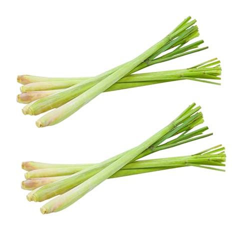 How To Prepare Lemongrass For Cooking Metro Cooking Dallas