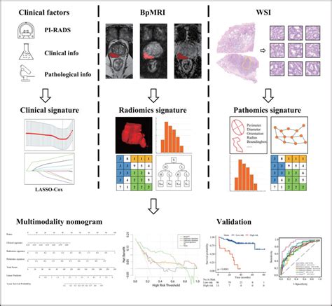 Development And Validation Of A Multimodality Model Based On Whole Development And Validation Of A Multimodality Model Based On Whole