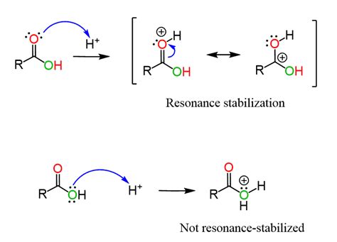 Why Does Esterification Require Heating At Leo Gatehouse Blog